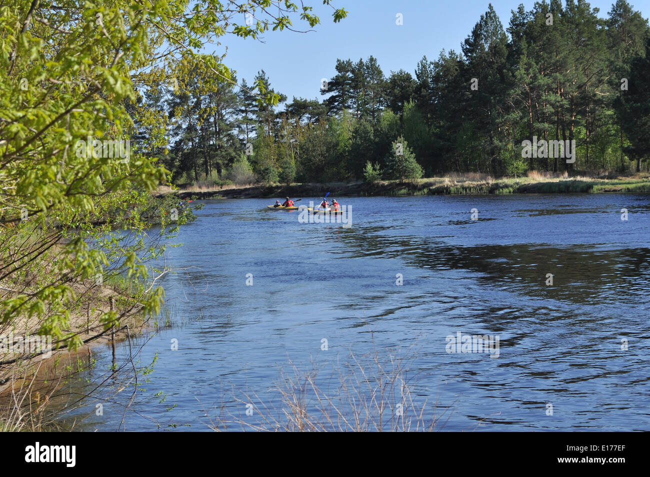 Kayaking at the spring river. The PRA river, national Park "Meschera ...