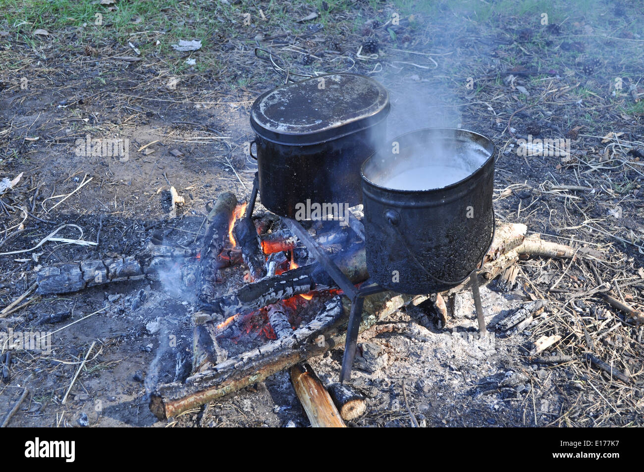 National Park "Meshchera", Ryazan region, Russian Federation. Cooking ...