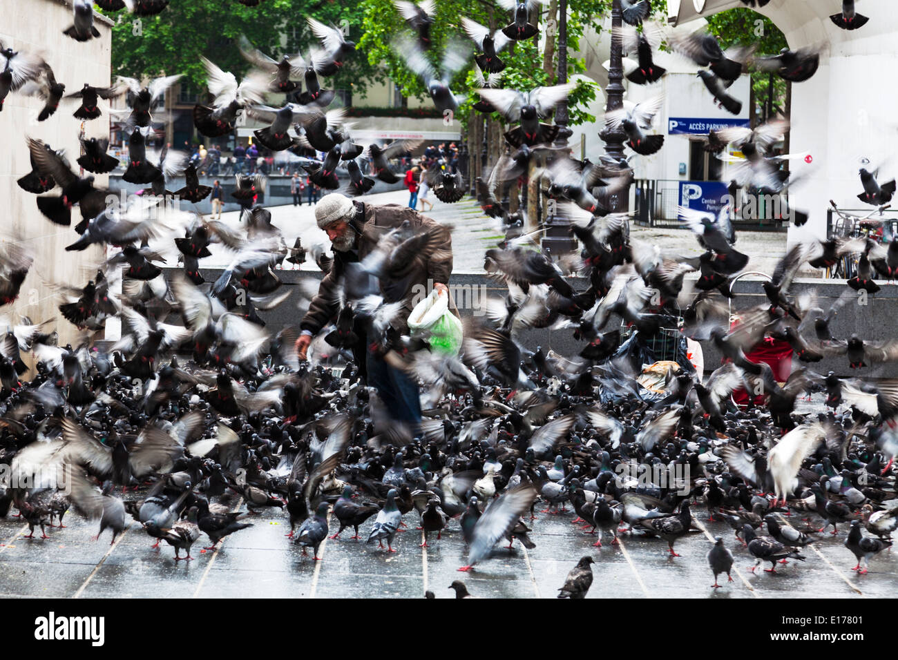 Tramp feeding huge flock of pigeons frenzy of birds Paris city europe ...