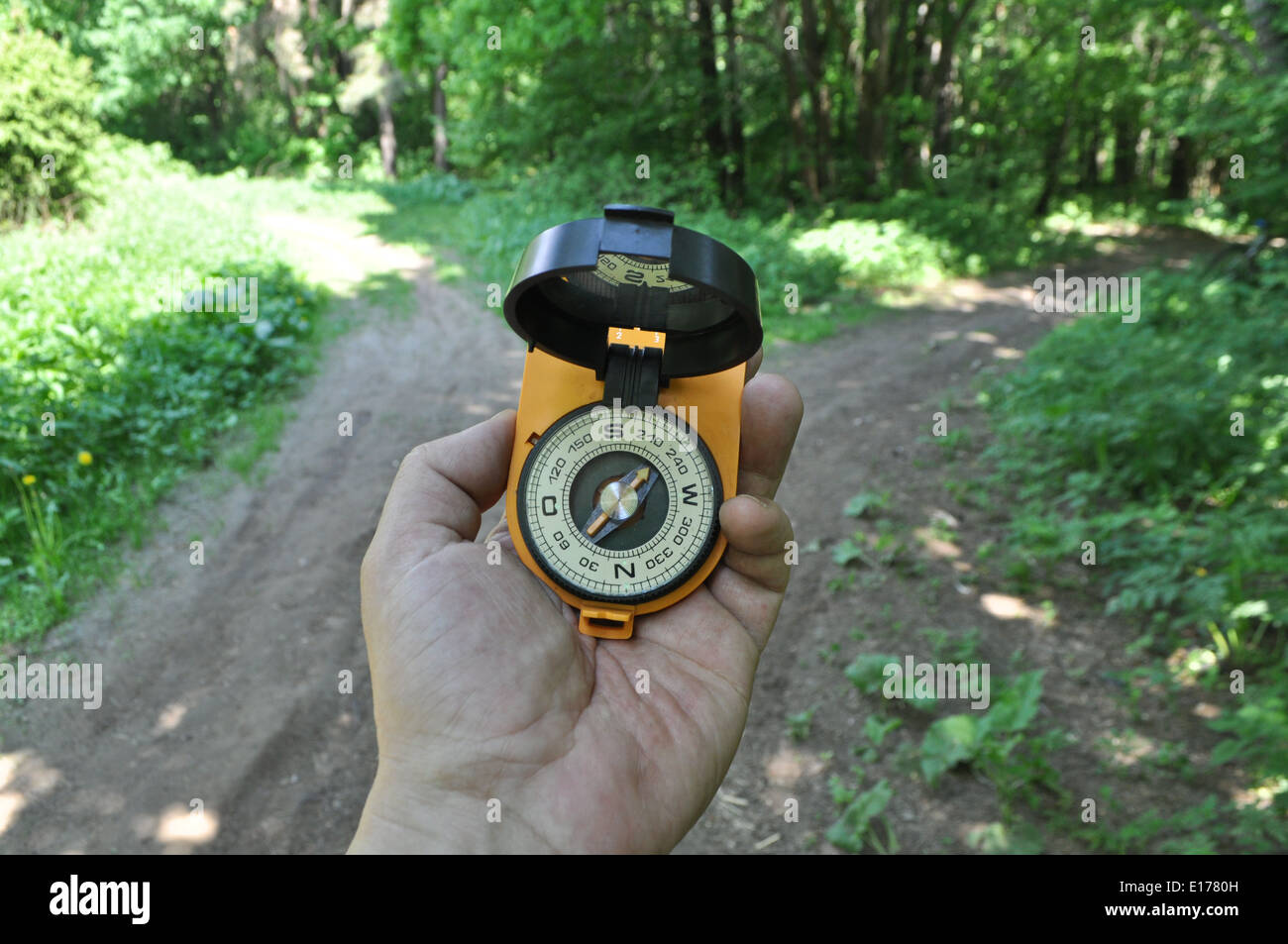May, green forest and the path. With a compass in his hand before the ...