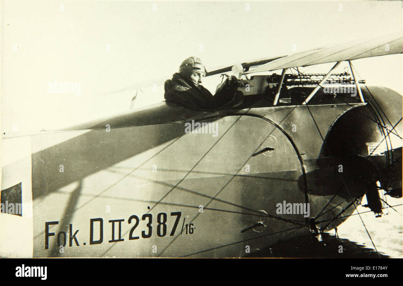 The Fokker D.II was a German biplane fighter aircraft used during World ...
