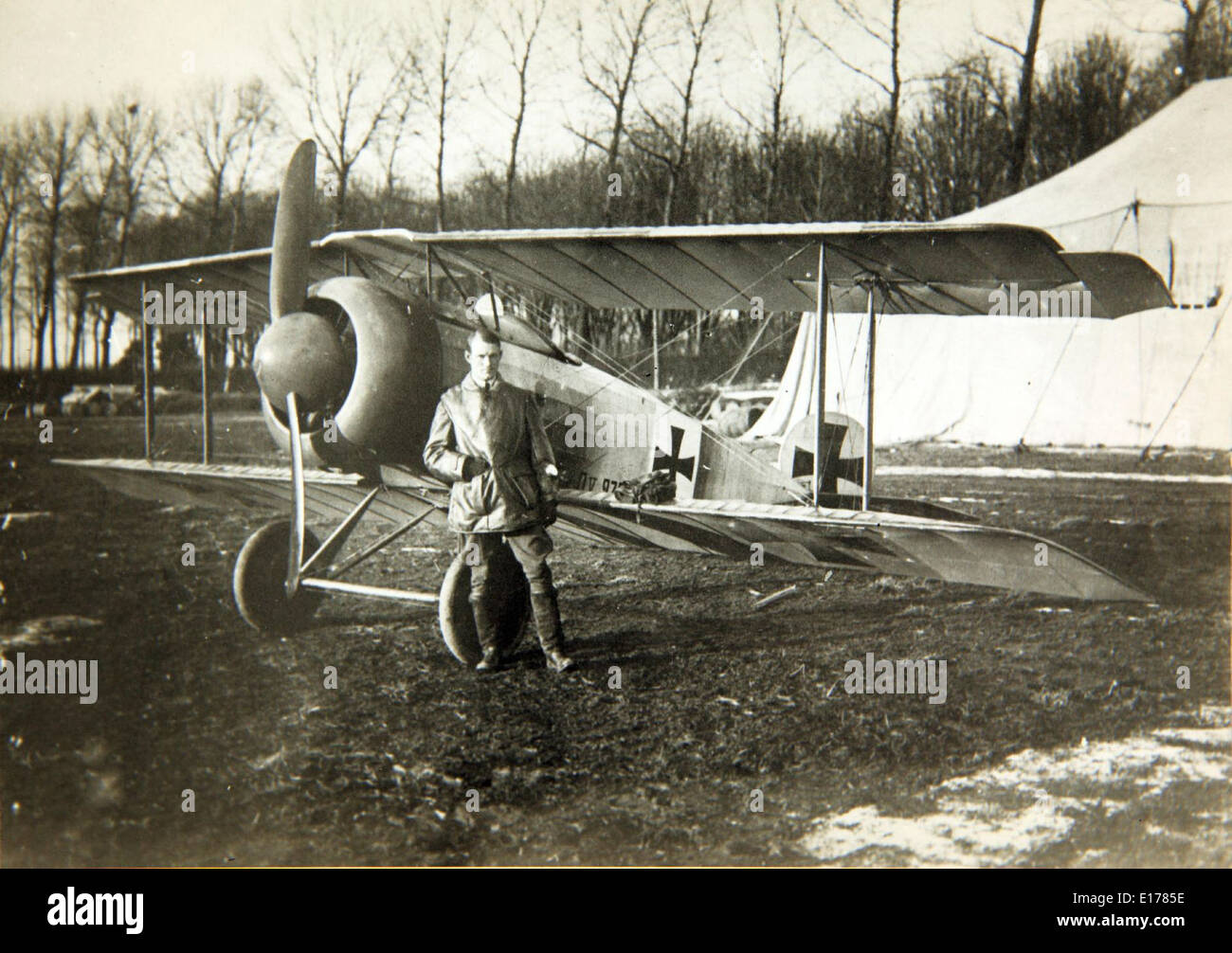 The Fokker D.V was a German World War I fighter aircraft, developed ...