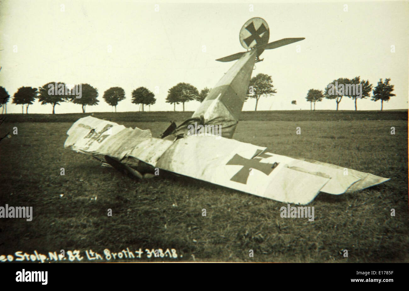 The Fokker Dr I D.V, also known as the Dr.I Triplane, was a German ...