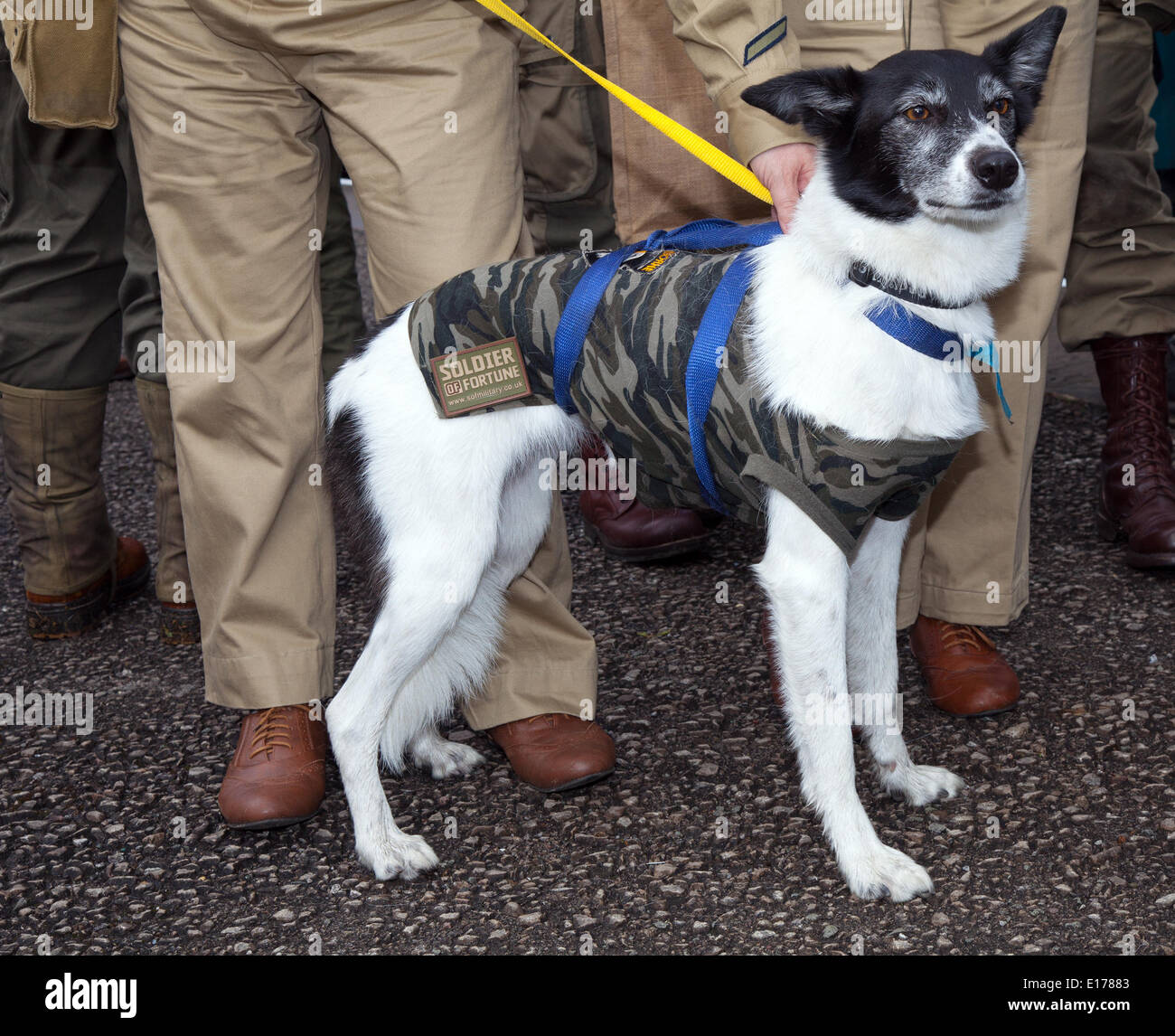 1940 period costume hi-res stock photography and images - Alamy