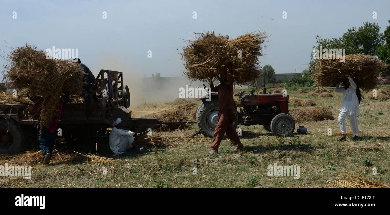 LAHORE, PAKISTAN-MAY 25: Pakistani Farmers works on wheat threshers at ...