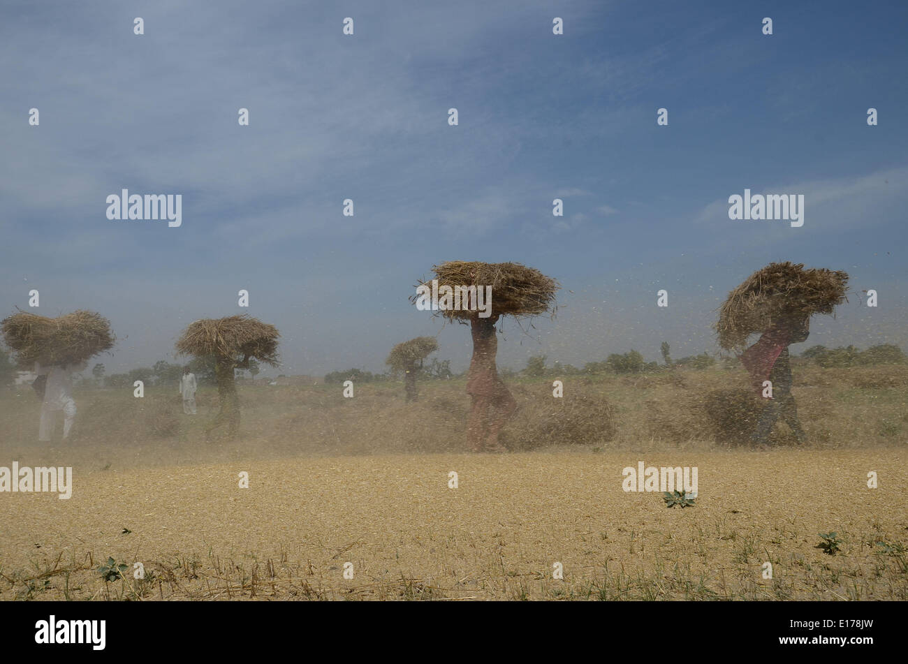 LAHORE, PAKISTAN-MAY 25: Pakistani Farmers works on wheat threshers at ...