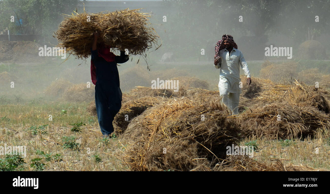 LAHORE, PAKISTAN-MAY 25: Pakistani Farmers works on wheat threshers at ...