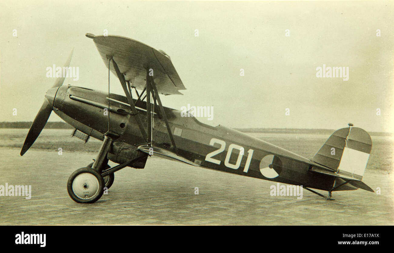 The Fokker D.XVII was a German World War I biplane fighter, known for ...