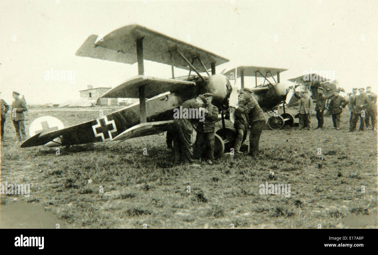 The Fokker Dr.I Triplane, a famous German fighter aircraft from World ...