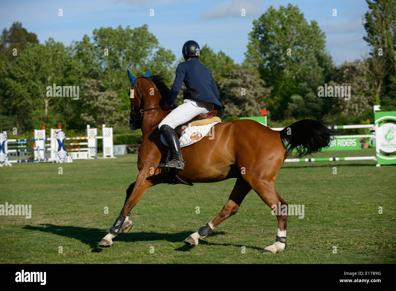 Rear view horse rider hi-res stock photography and images - Alamy