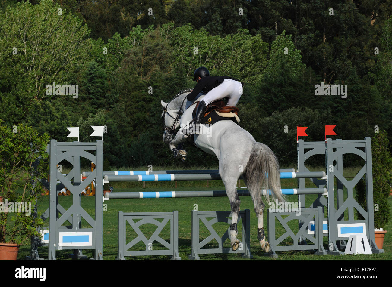 Rear view horse rider hi-res stock photography and images - Alamy