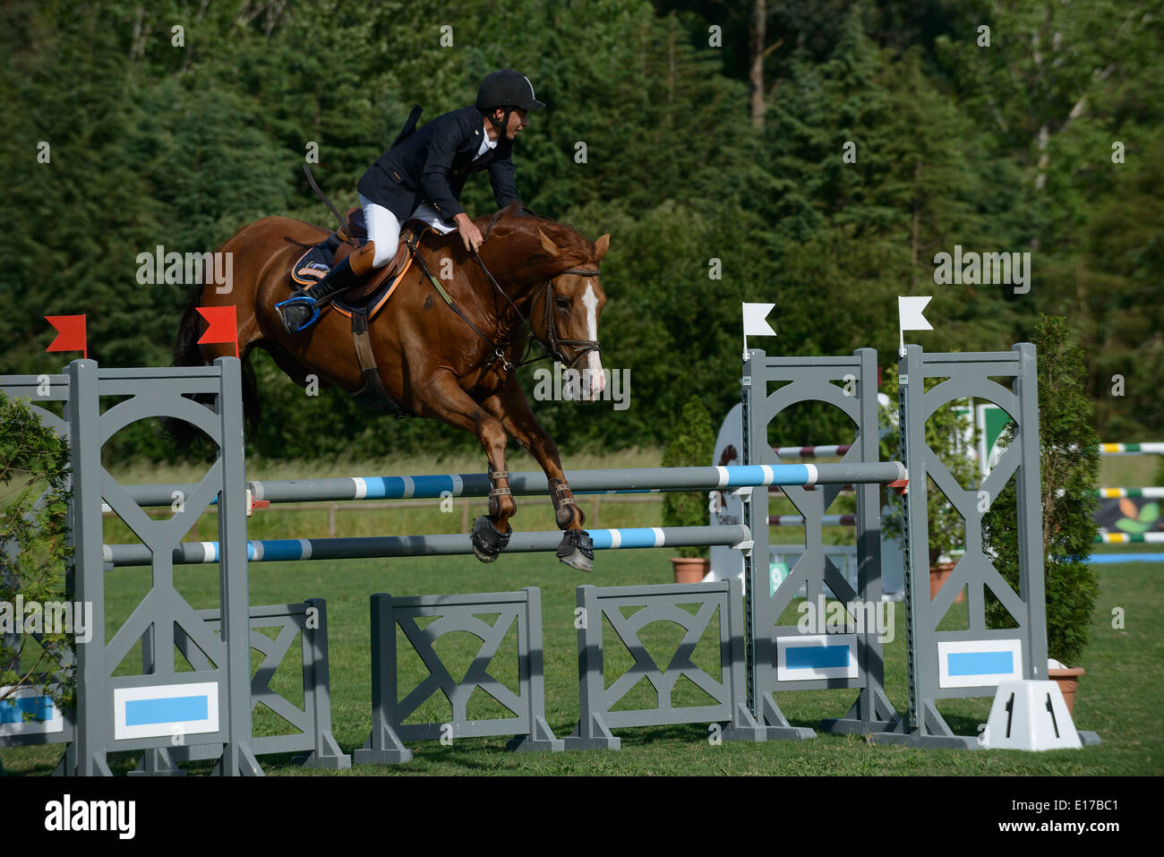 Horse jumping hi-res stock photography and images - Alamy