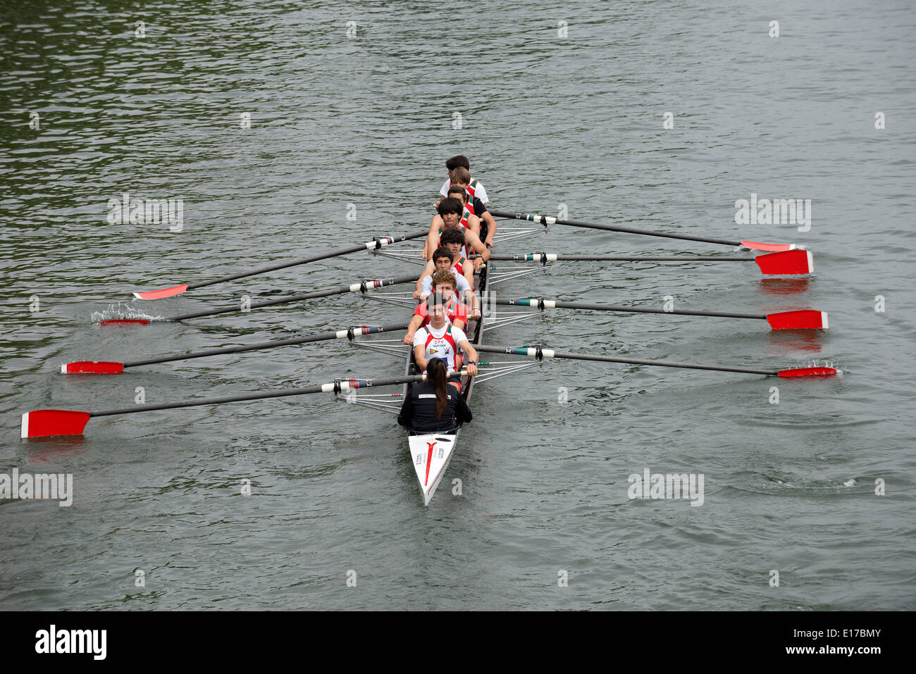 Rowing team hi-res stock photography and images - Alamy
