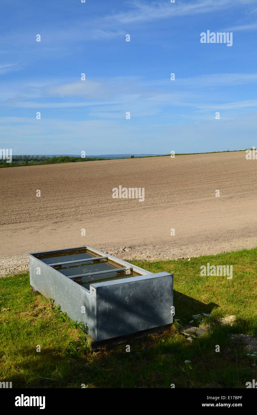 Large animal water trough in a Sussex farm field Stock Photo - Alamy