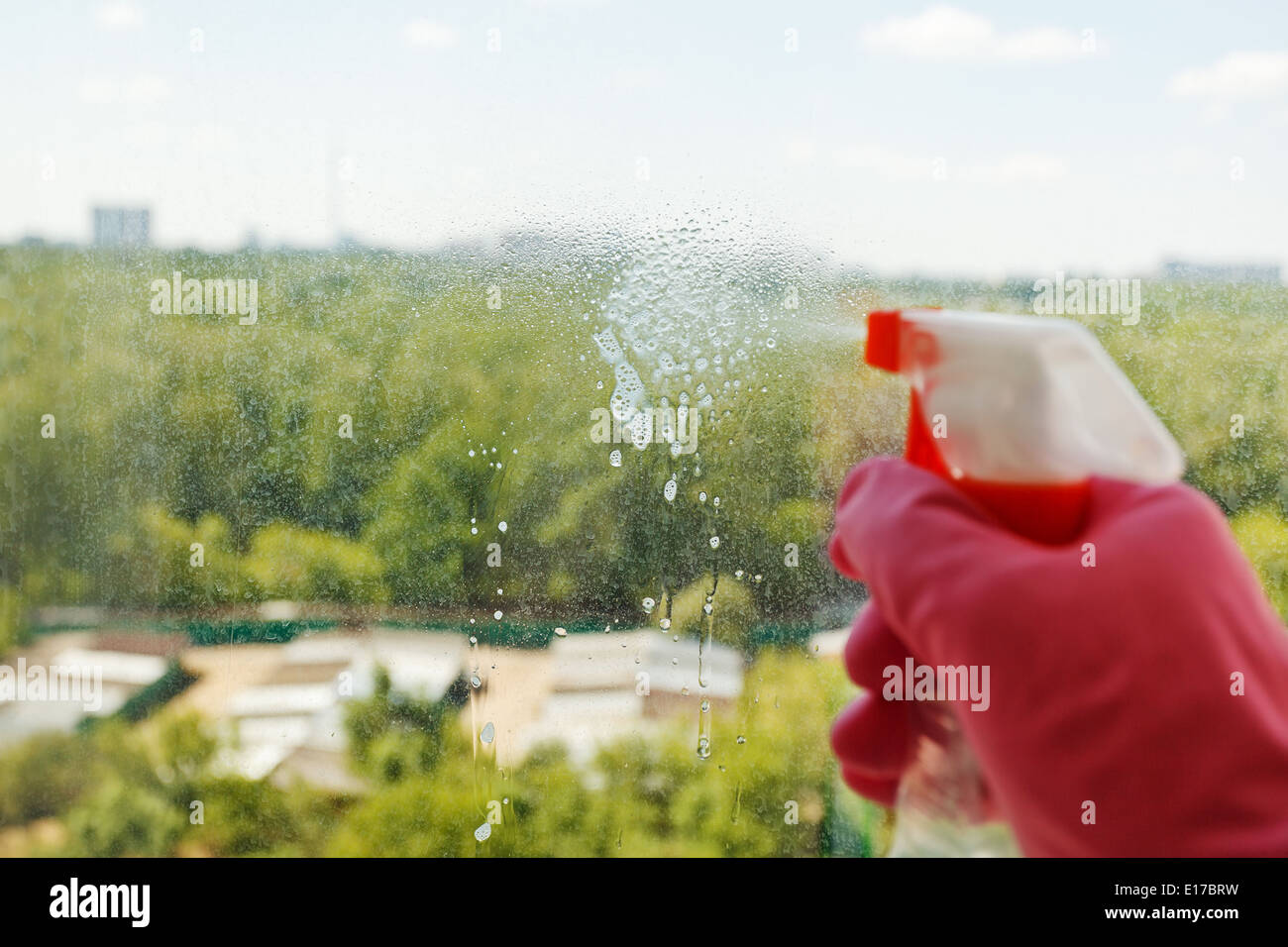 washing home window - liquid jet from spray bottle on glass with green ...