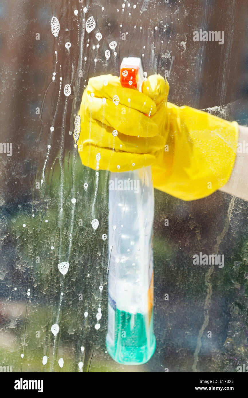 soapy liquid on window glass during washing from spray bottle Stock ...