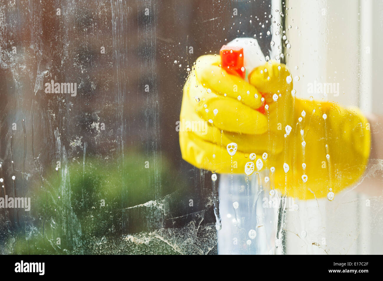 foamy liquid on window glass during washing from spray bottle Stock ...