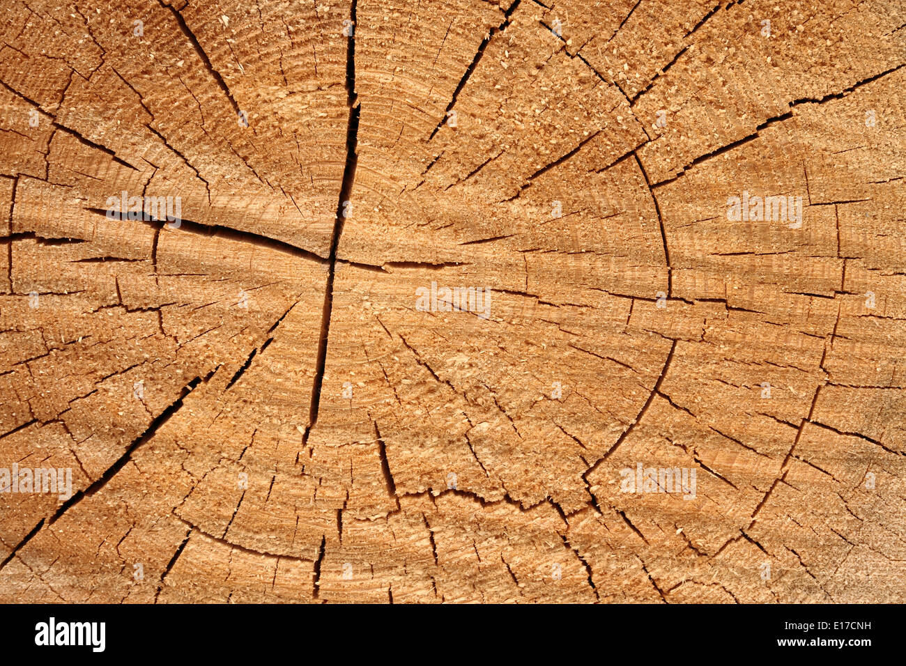 Cross section pattern background hi-res stock photography and images ...