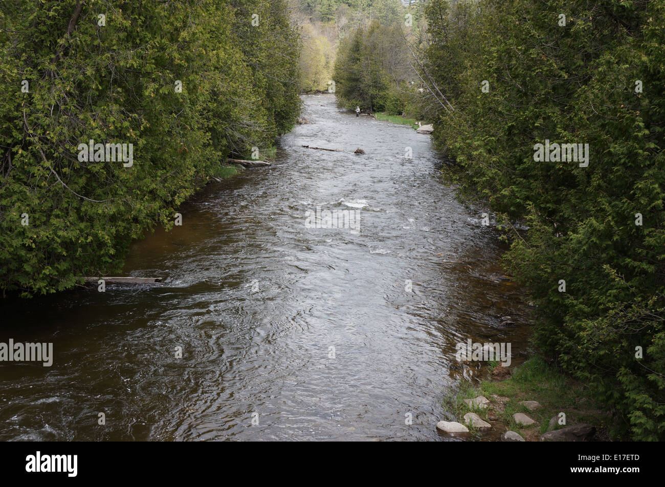 Credit river ontario hi-res stock photography and images - Alamy