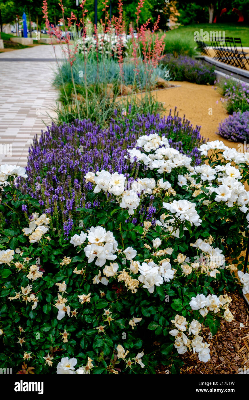 A path through the Myriad Botanical Gardens featuring flowers in ...