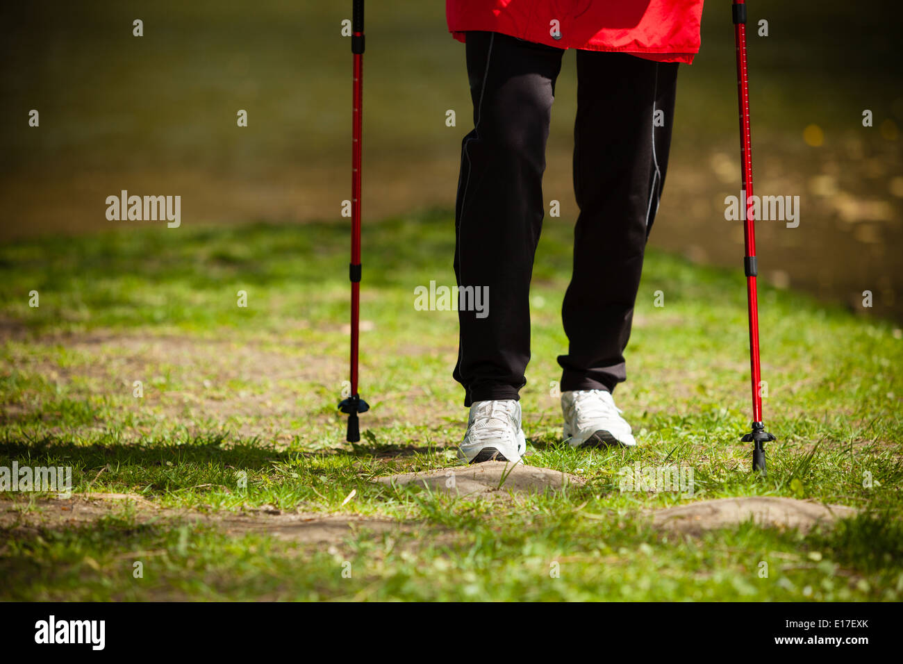 Nordic walking. Closeup of female legs hiking in the park. Active and ...