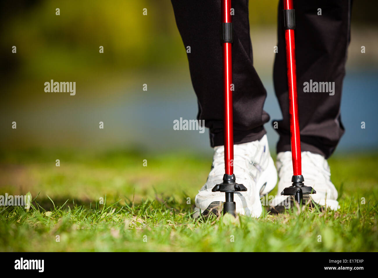 Nordic walking. Closeup of female legs hiking in the park. Active and ...