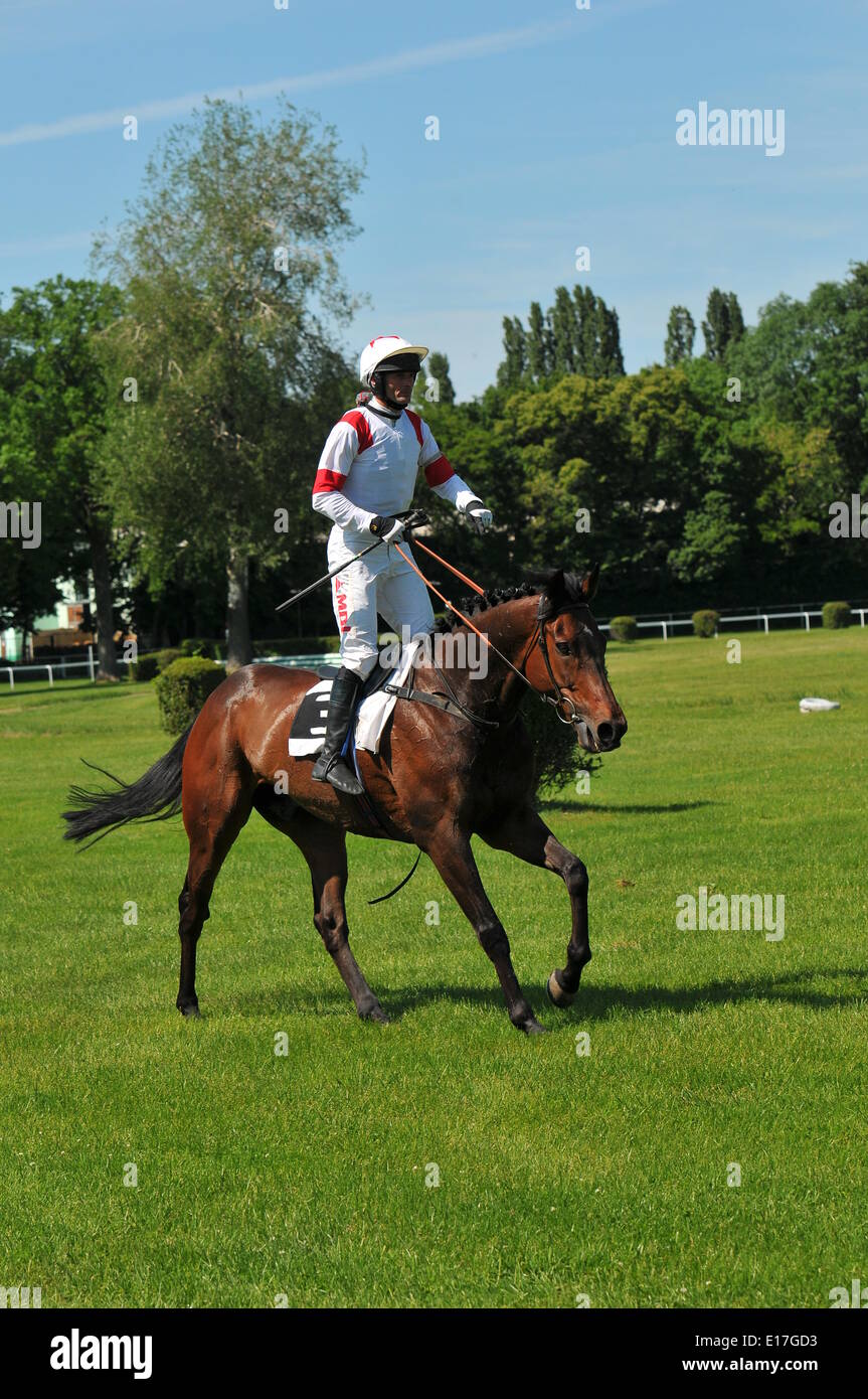 Jockey after race on hi-res stock photography and images - Alamy