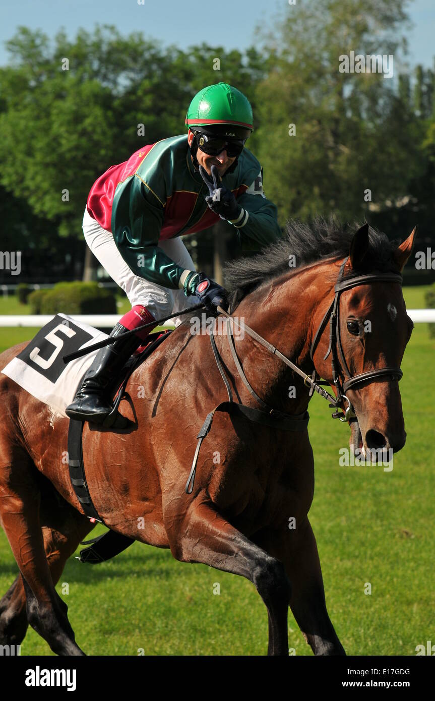 Rocket horse hi-res stock photography and images - Alamy