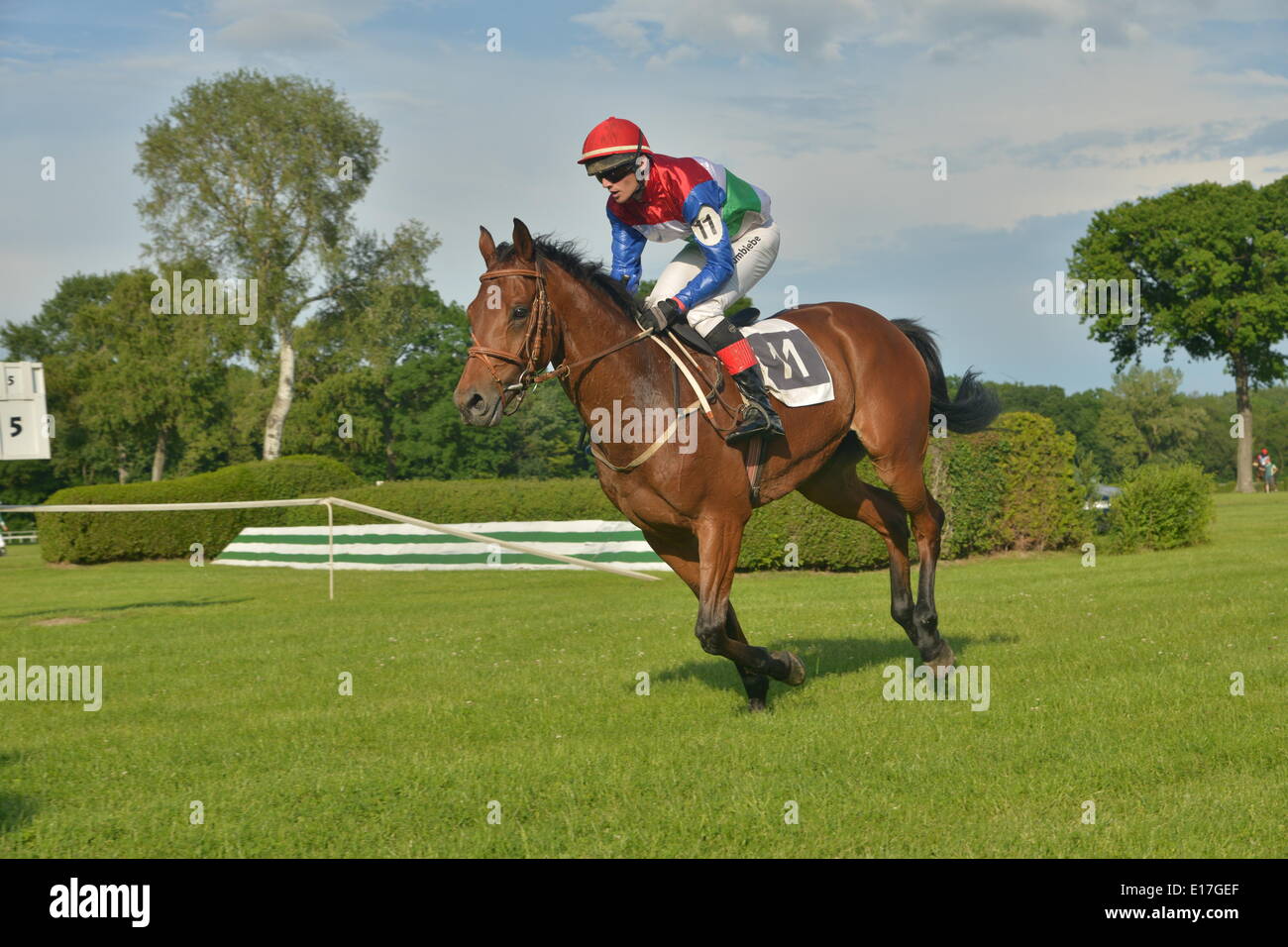 Hun horse hi-res stock photography and images - Alamy