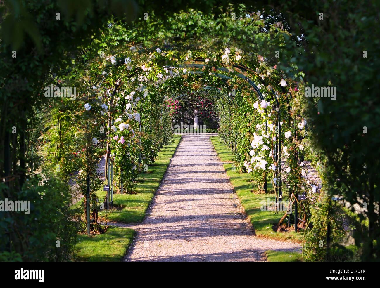 Garden arch bench hi-res stock photography and images - Alamy