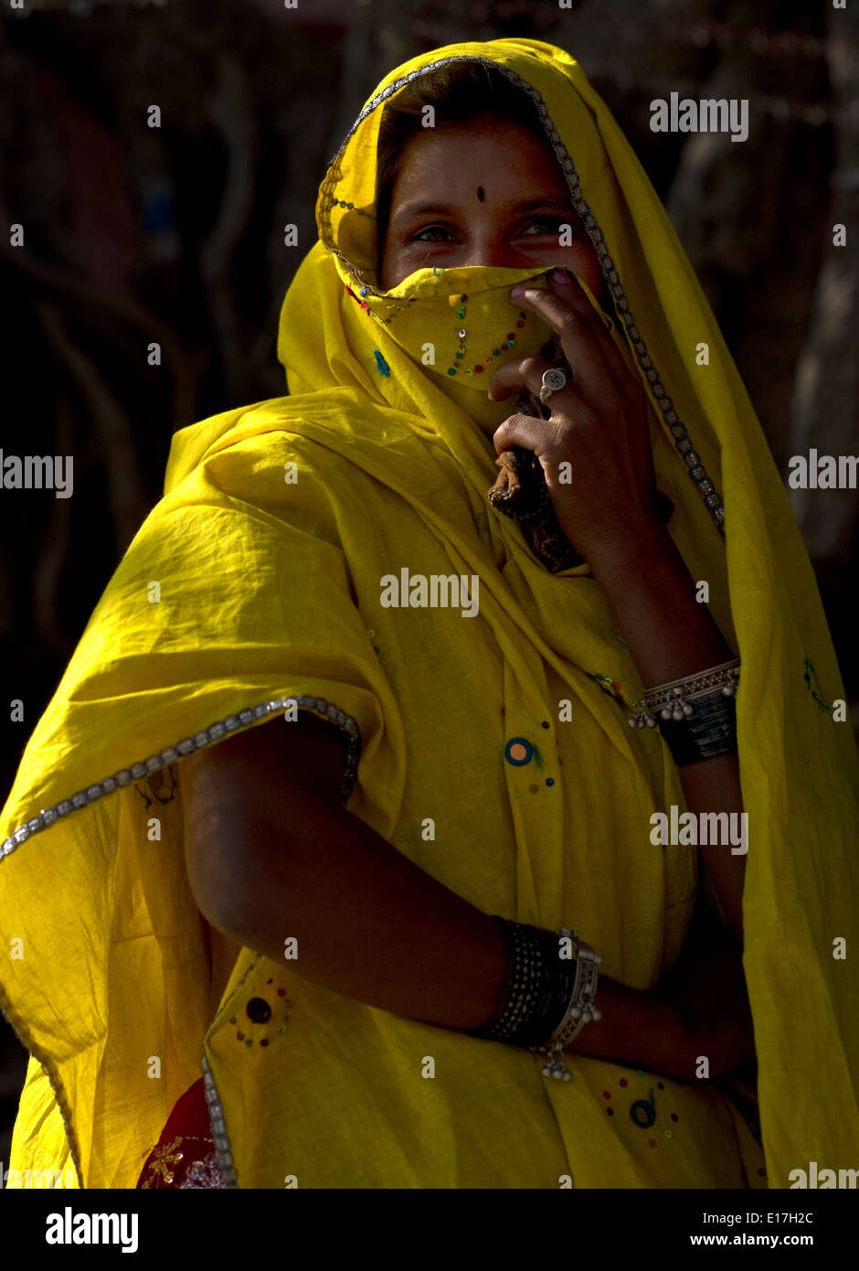 PORTRAITS - RAJASTHAN WOMAN WITH VEIL GOGUNDA VILLAGE Stock Photo - Alamy