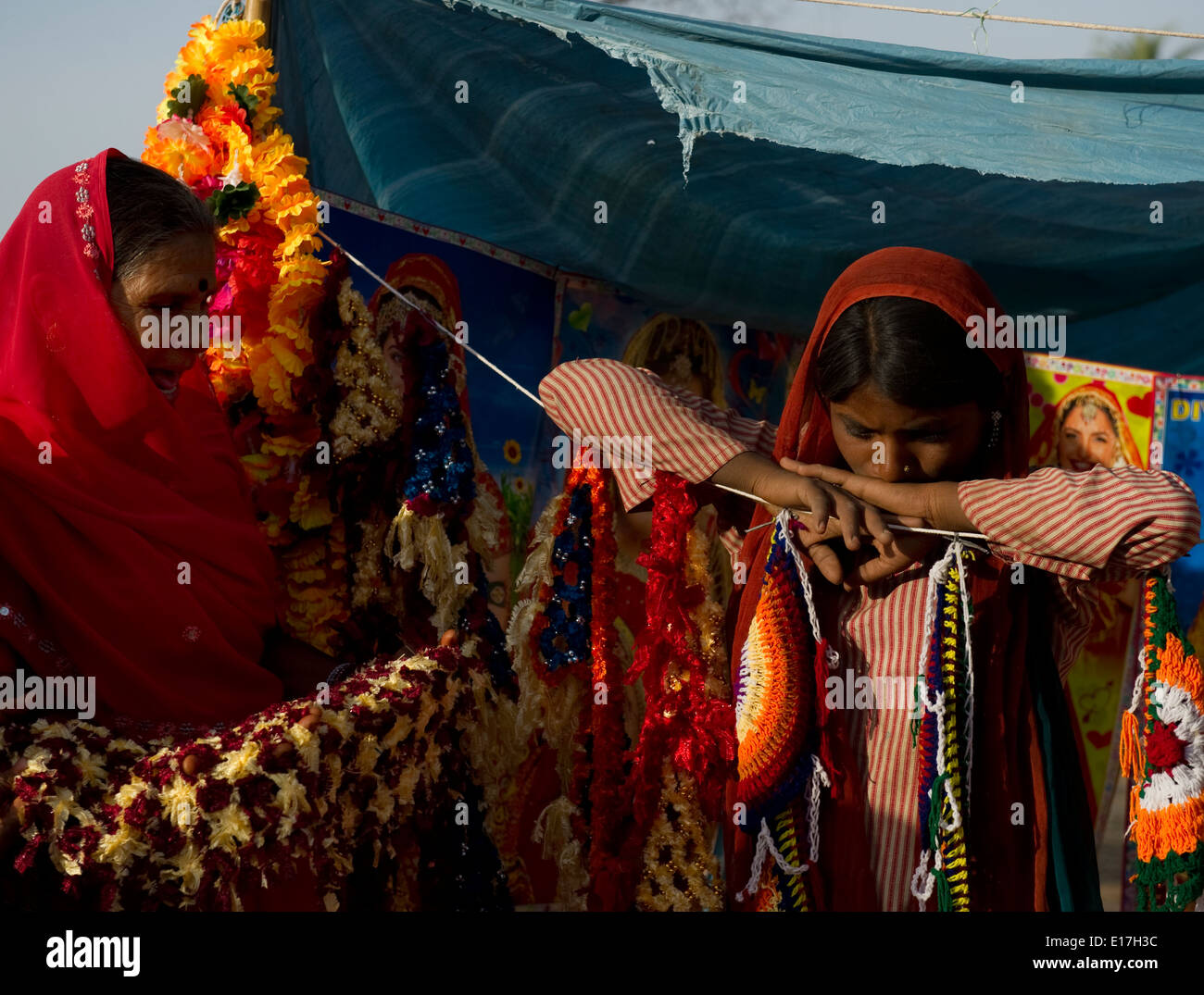 PORTRAITS - RAJASTHAN WOMAN WITH VEIL GOGUNDA VILLAGE Stock Photo - Alamy