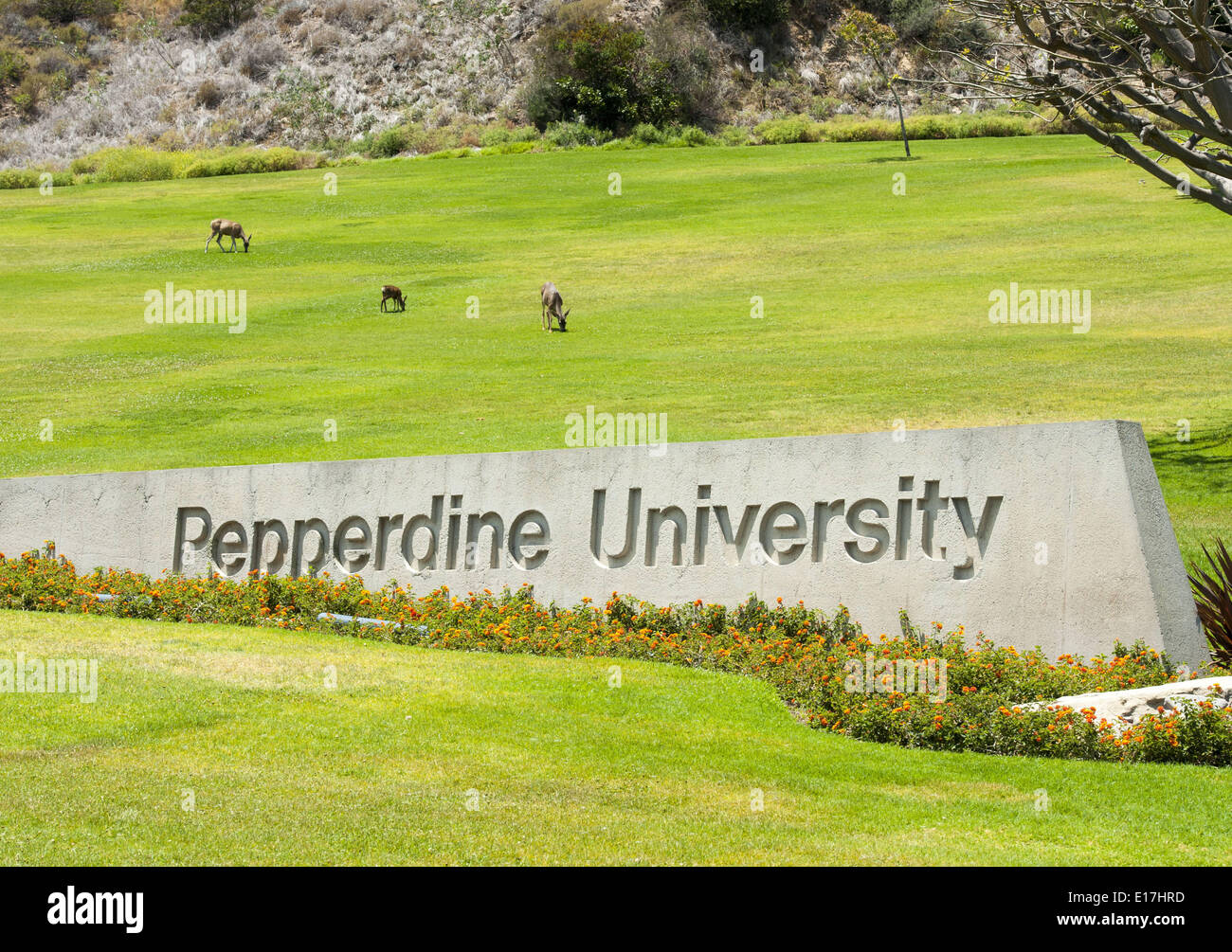 Malibu, California, USA. 25th May, 2014. Pepperdine University is a ...