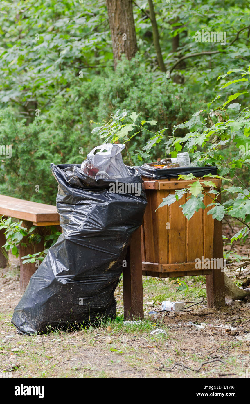 trash can along walking path in forest Stock Photo - Alamy