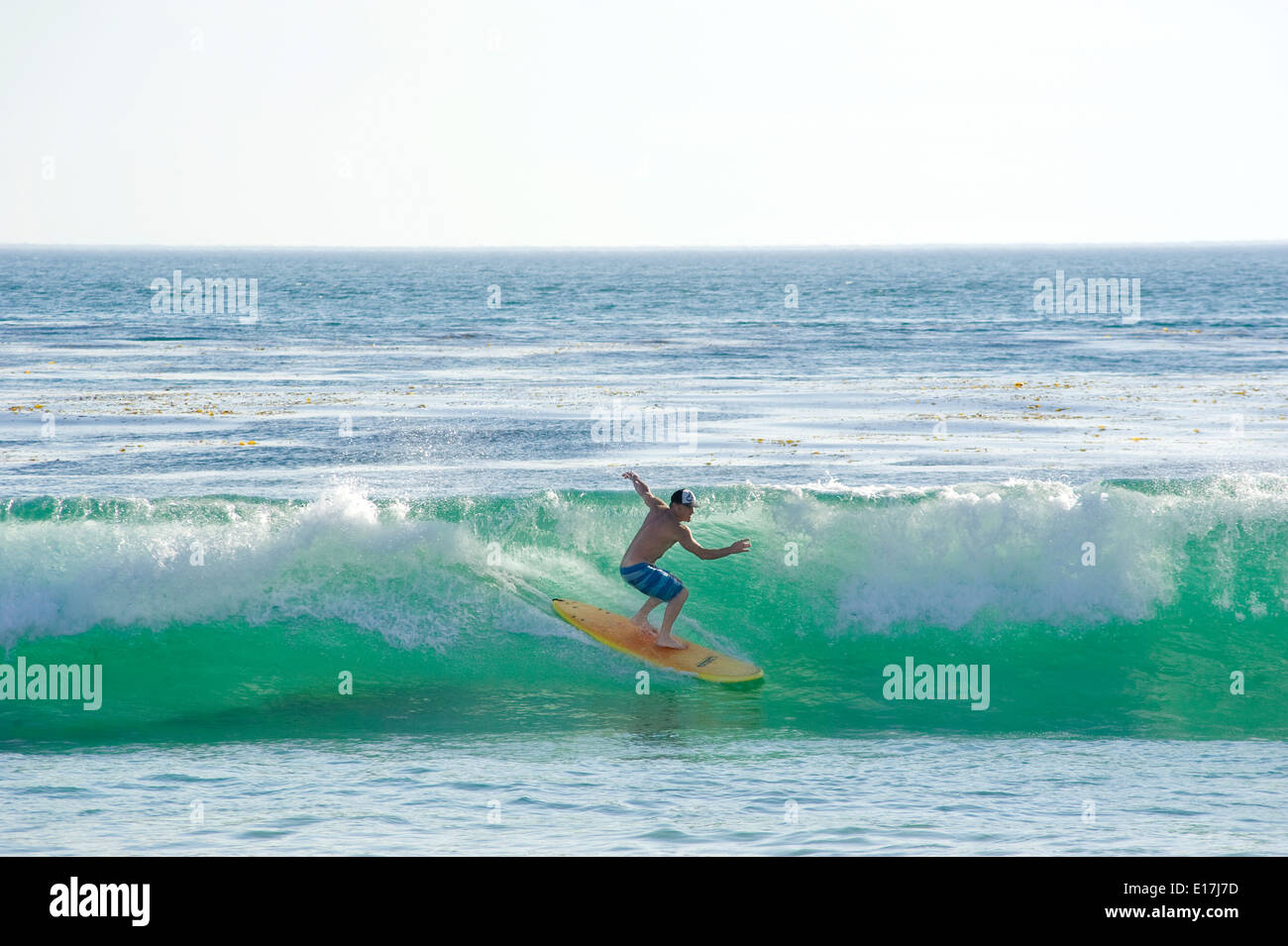 Surfer dude hi-res stock photography and images - Alamy