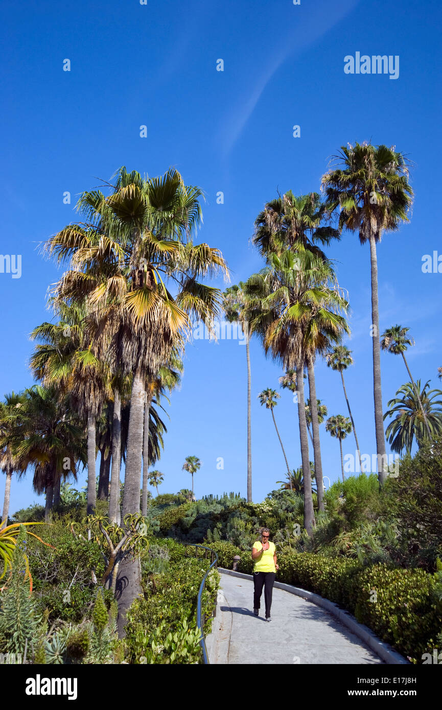 Heisler Park in Laguna Beach, California Stock Photo - Alamy