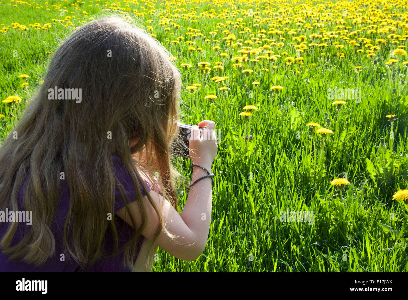 Photographing a meadow hi-res stock photography and images - Alamy