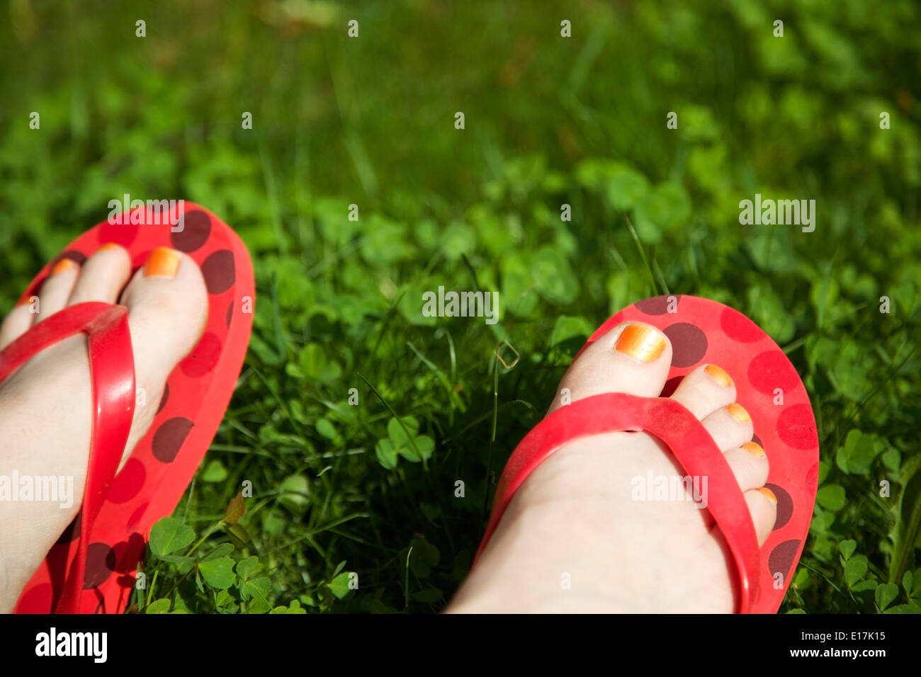 Toes with painted toenails and colorful flip flops in the middle of ...