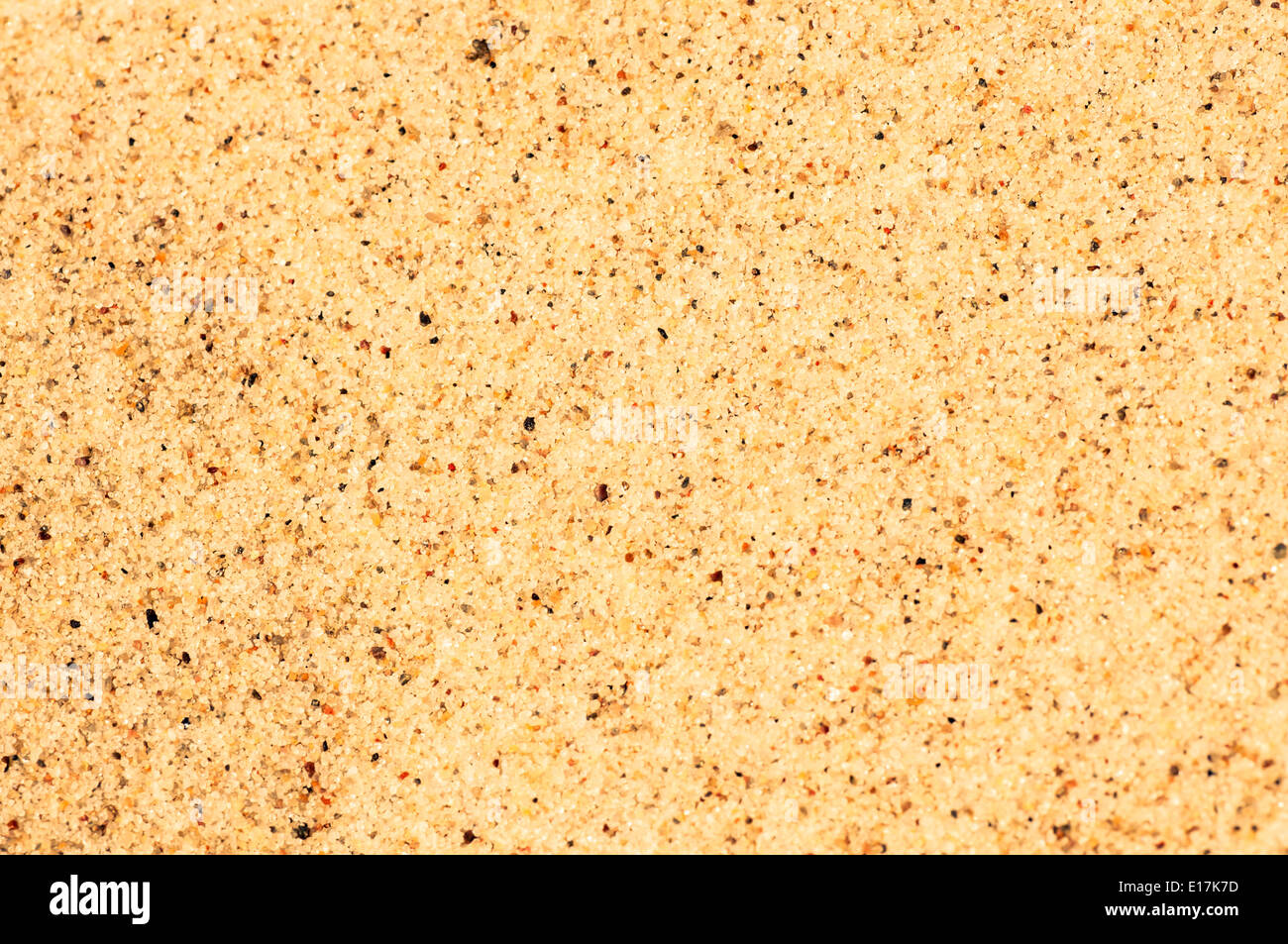 Coarse sand background texture. Macro of coarse sand grains Stock Photo ...