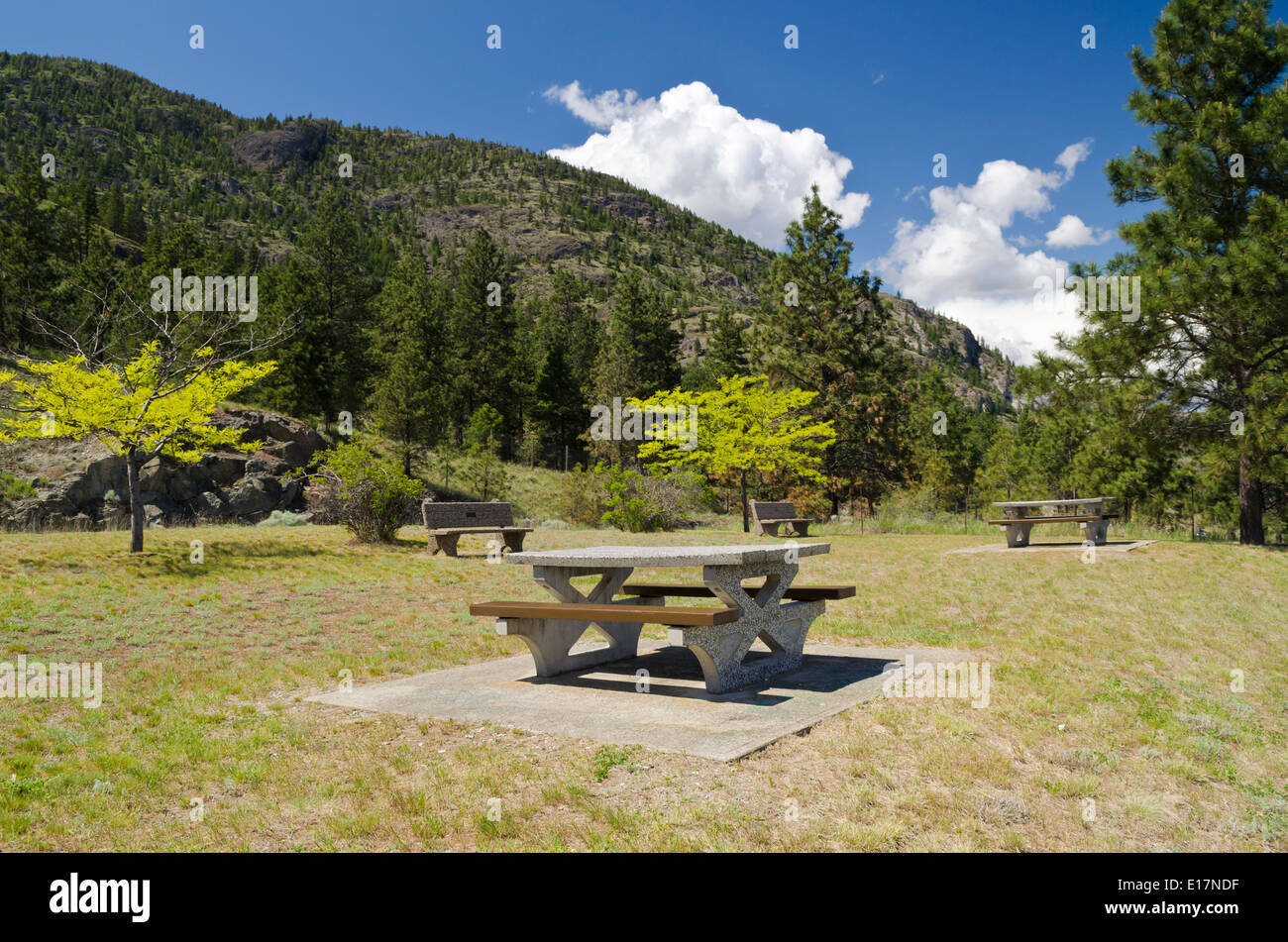 Empty picnic tables hi-res stock photography and images - Alamy