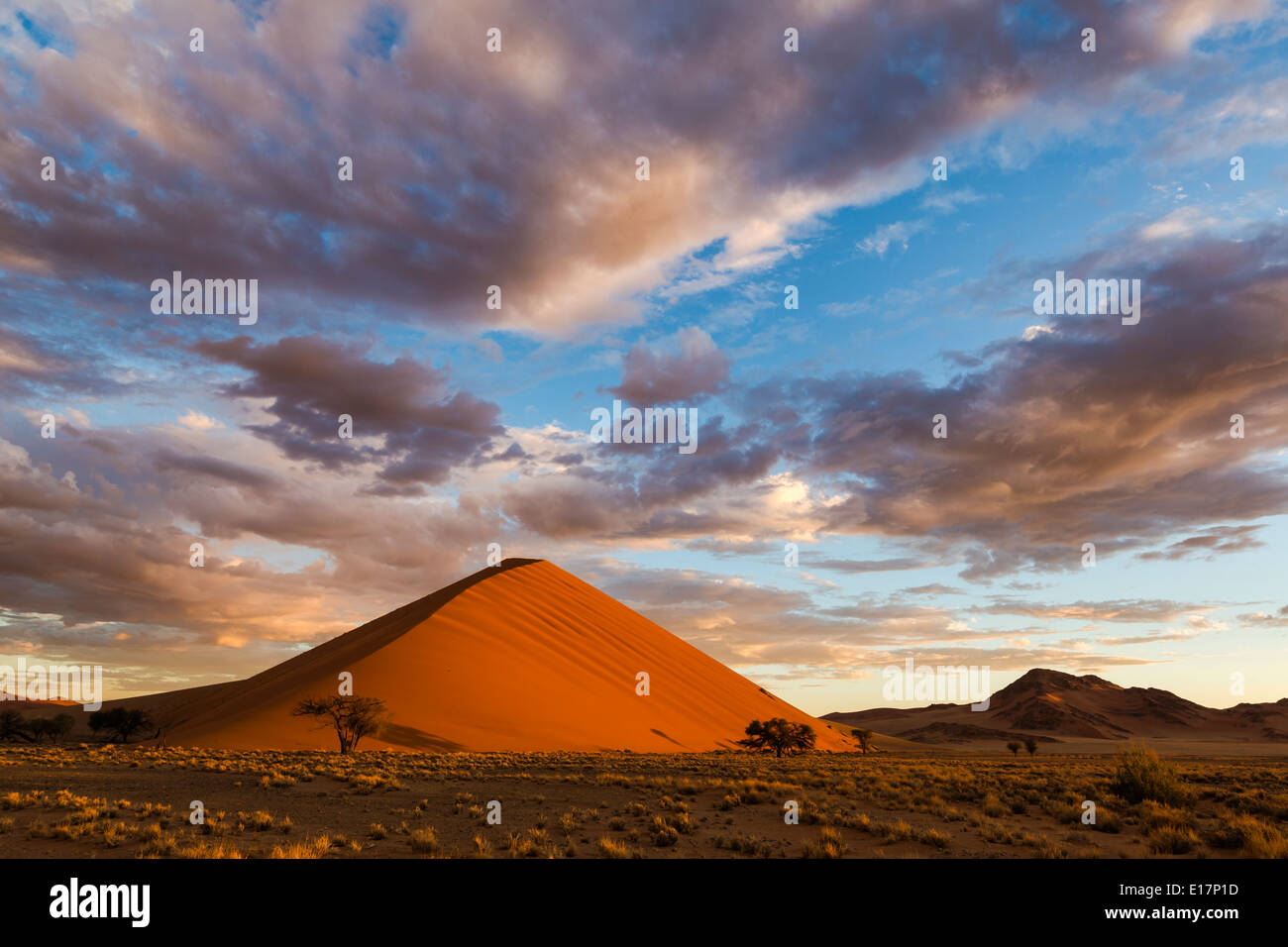 Sub saharan desert hi-res stock photography and images - Alamy