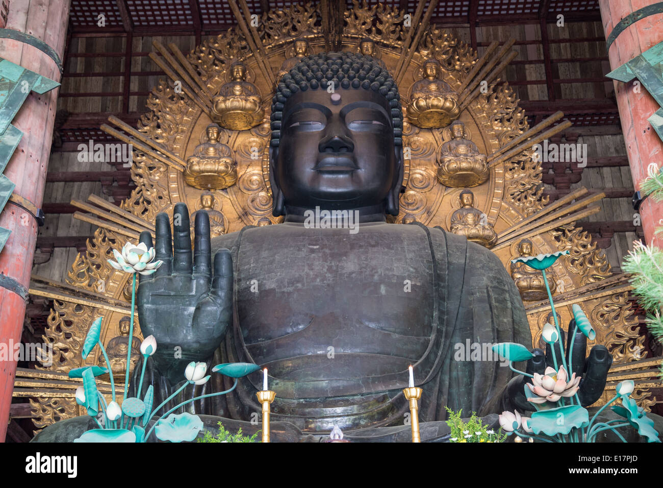 Great Buddha at Daibutsuden,Todaiji Stock Photo - Alamy