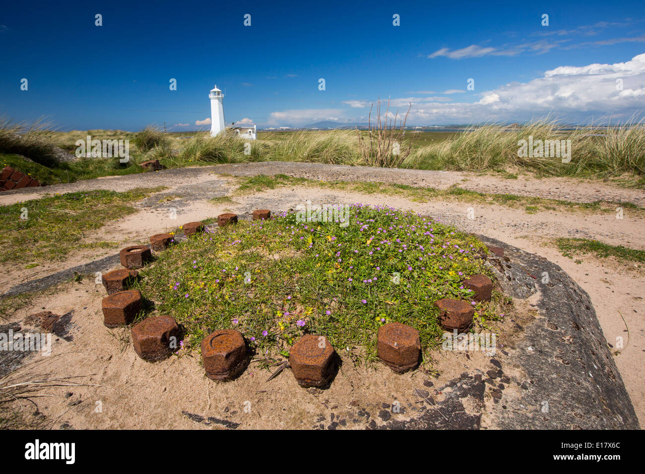 The lighthouse on Walney Island, Cumbria, UK, with wild flowers growing ...