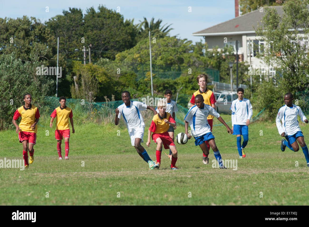 Junior football players chasing the ball, Cape Town, South Africa Stock ...