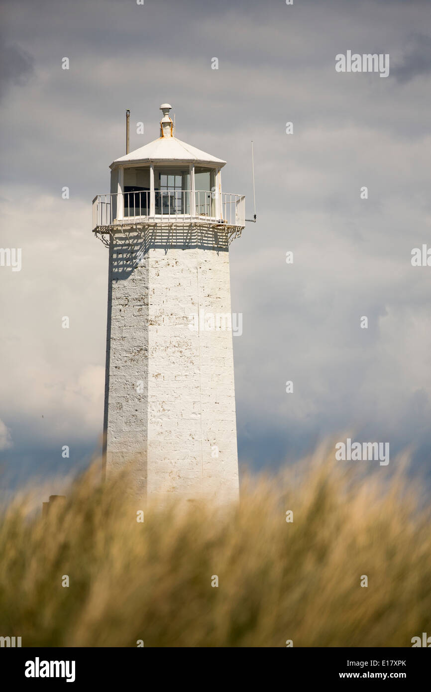 Walney island wildlife hi-res stock photography and images - Alamy