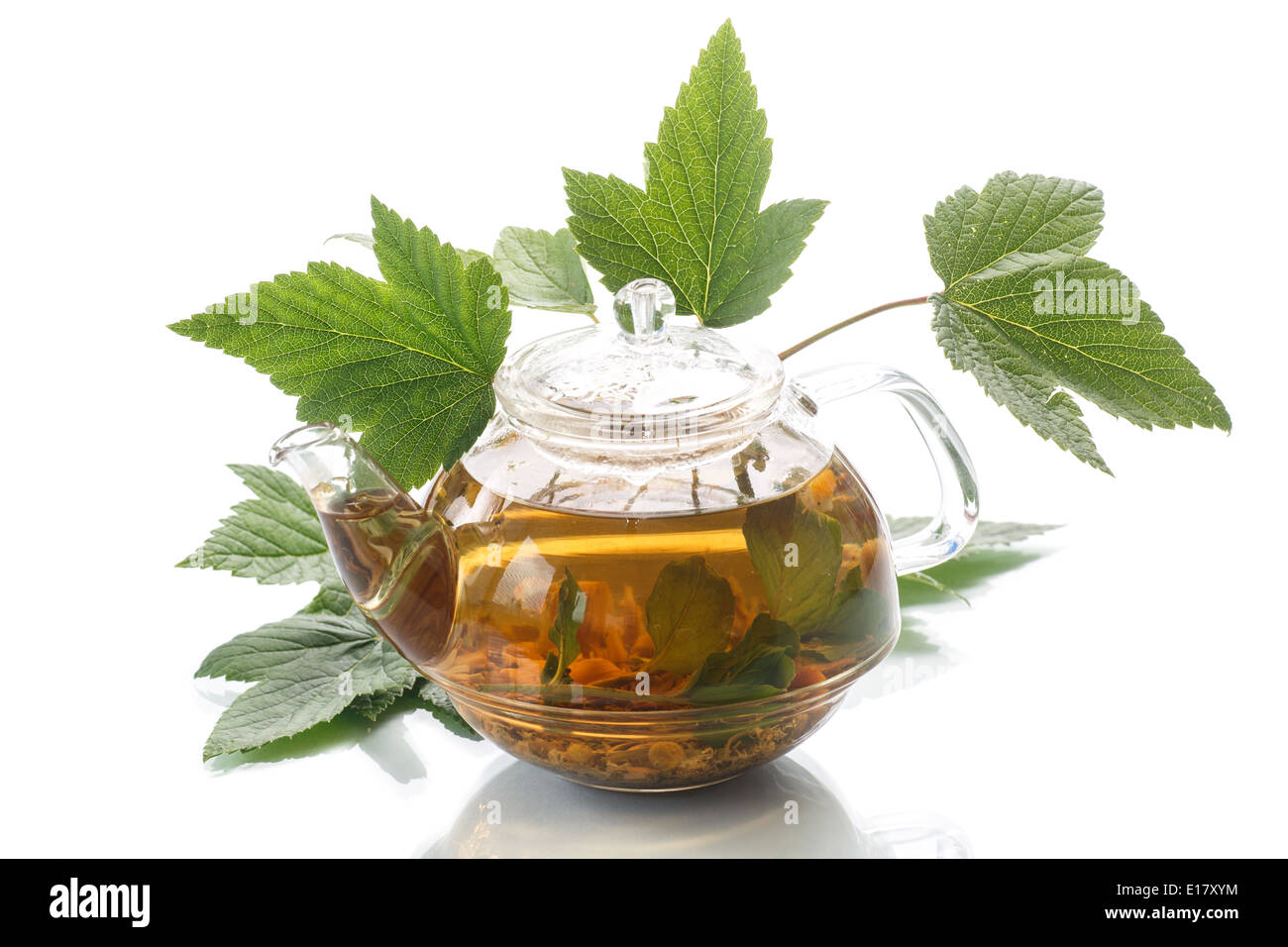 medicinal tea from the leaves of currants on a white background Stock ...