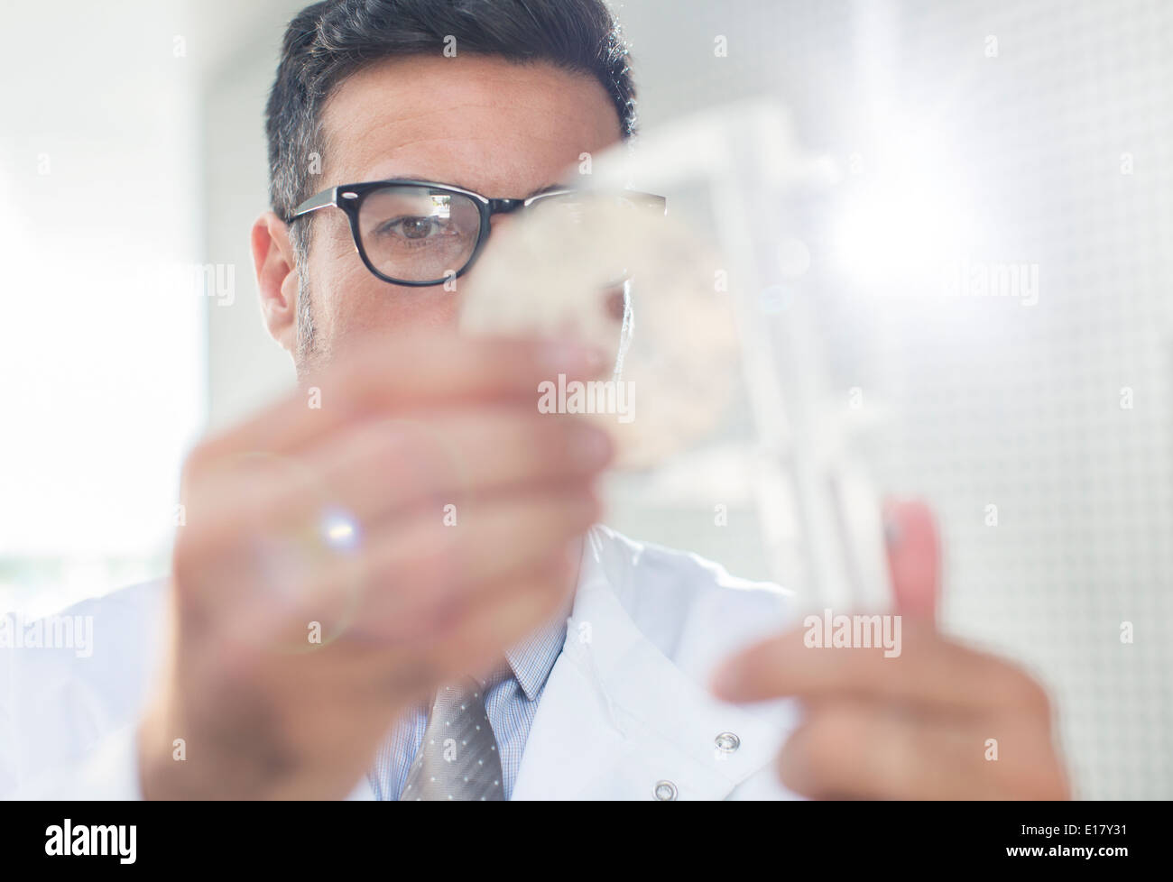 Close up scientist holding horizontal hi-res stock photography and ...