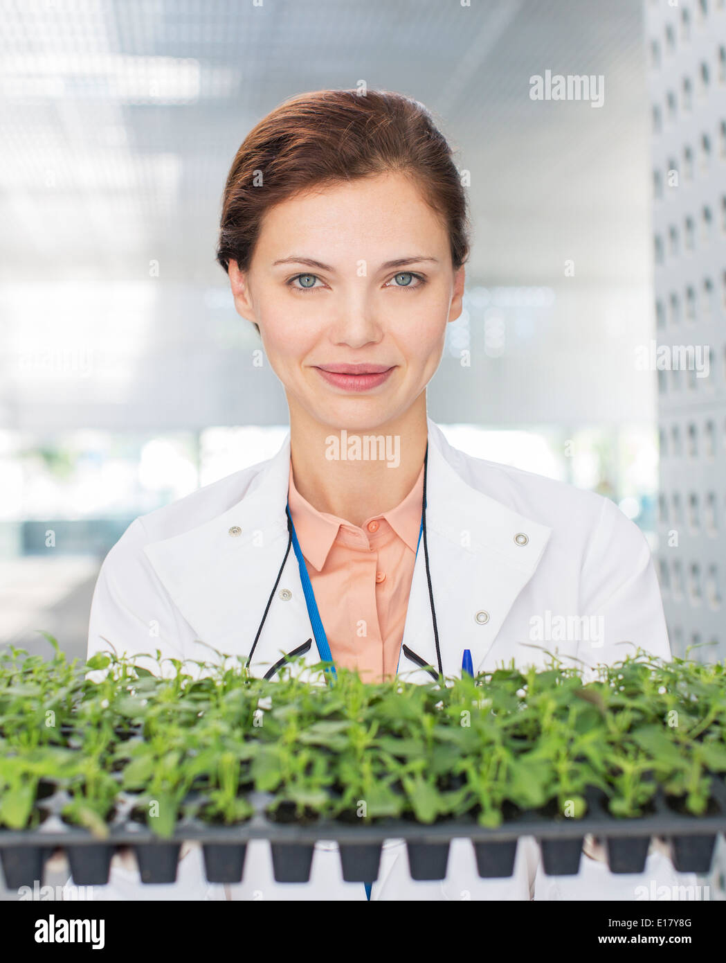 Portrait of botanist holding tray of plant saplings Stock Photo - Alamy