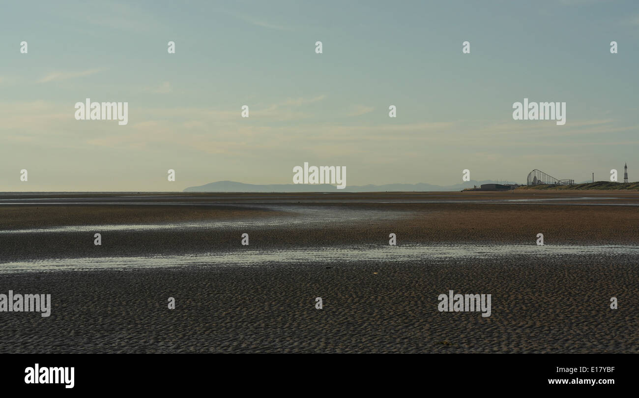 Blue sky evening sunlight view, across beach sand with wet channels ...