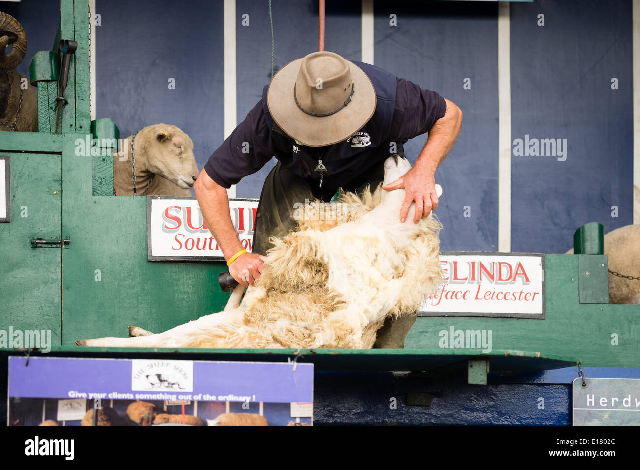 Claremont farm wirral hi-res stock photography and images - Alamy